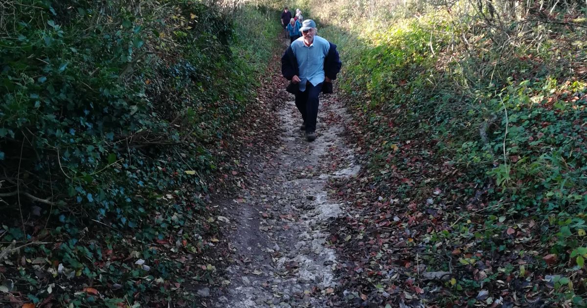 Old Winchester Hill - Brisk Pace - Ramblers